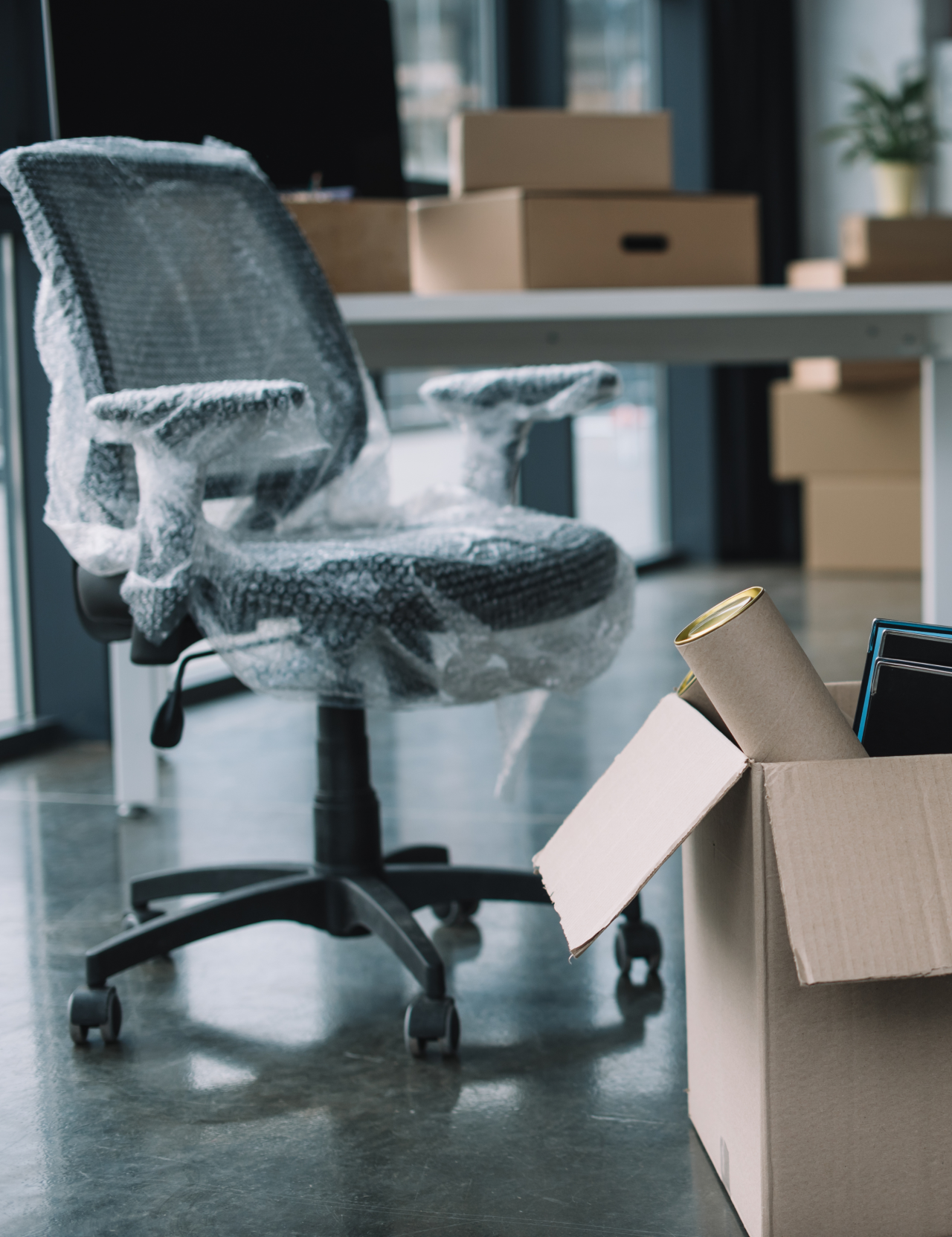 Services | All Relocation Services